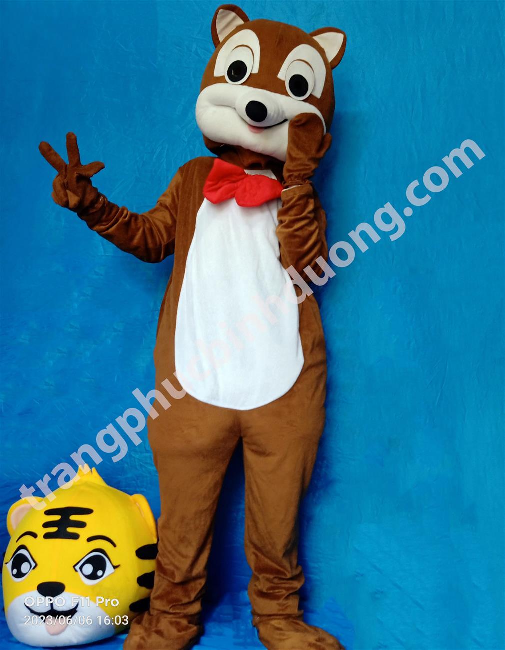 Trang phục mascot gấu